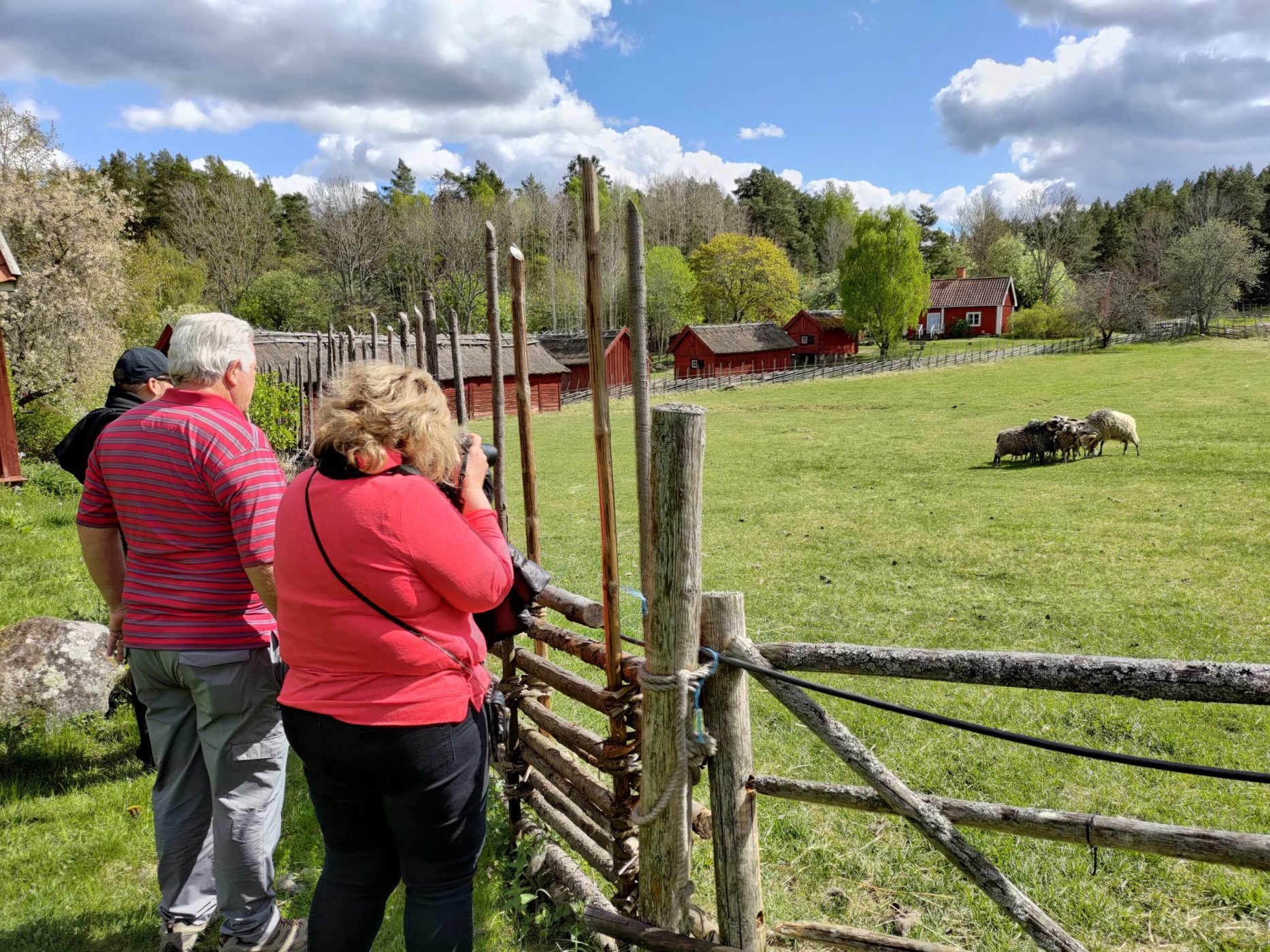 Countryside Shops, Local Food Tasting and a Private Owned Farm Visit ...