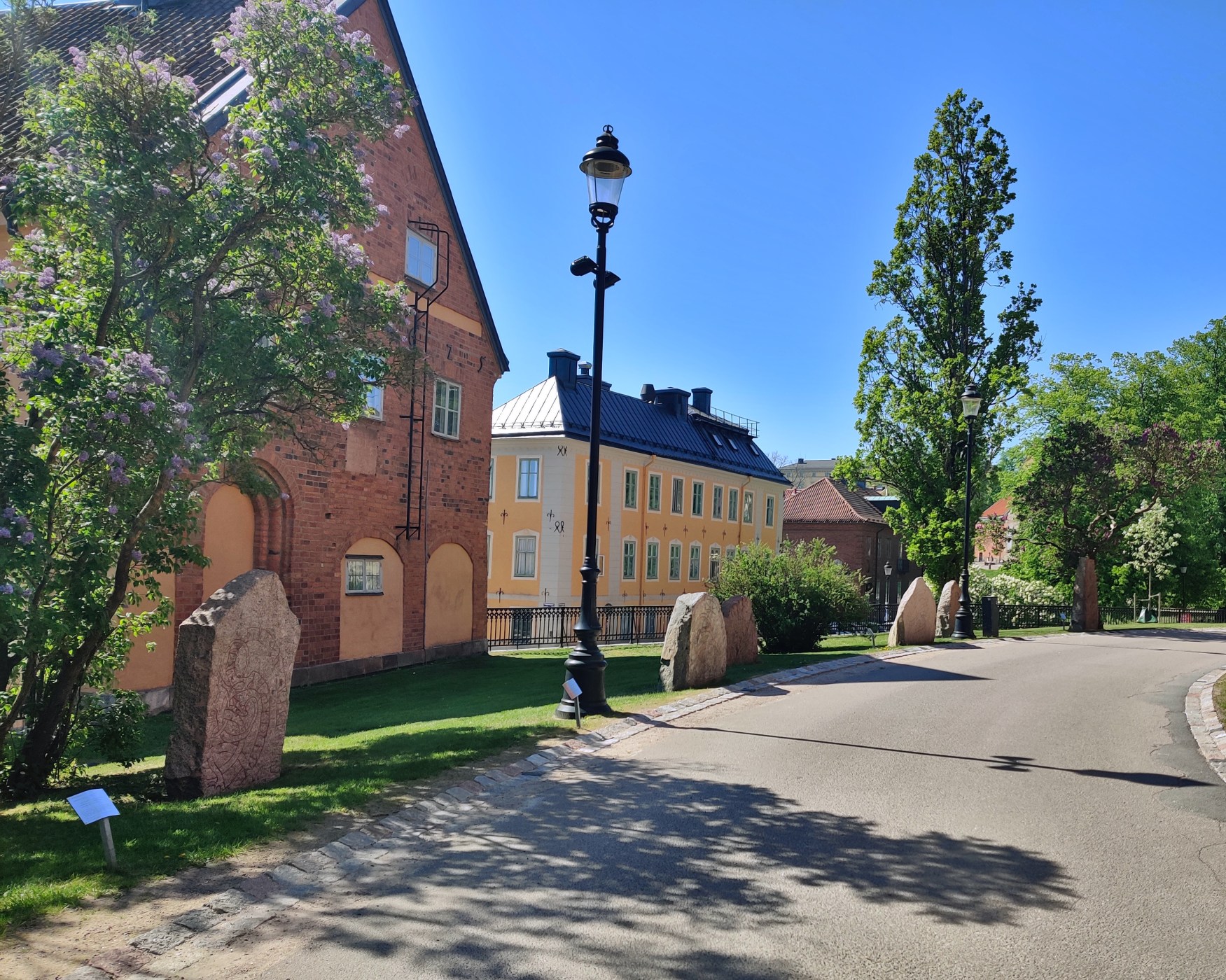 Runes and rune stones in Uppsala, 1h city walk | Sweden History Tours